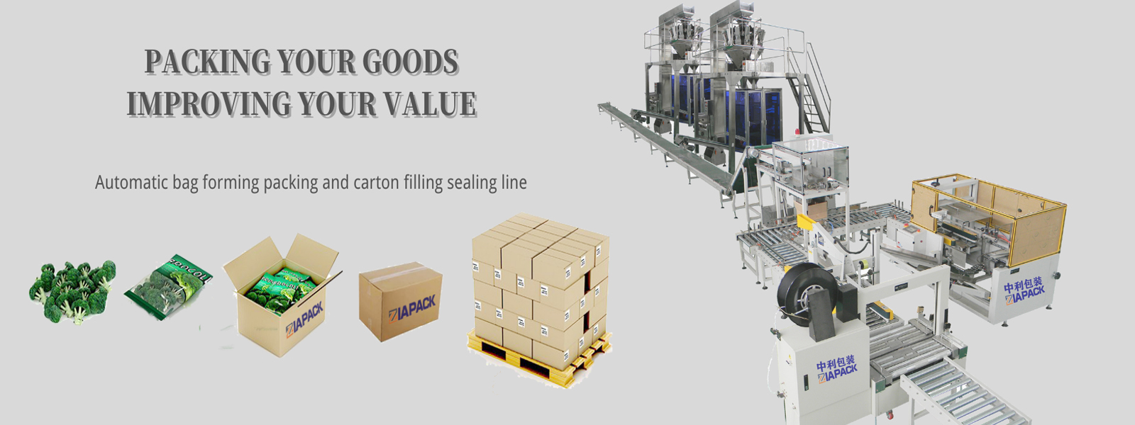 Automatic carton box forming filling and carton box packaging line - IAPACK