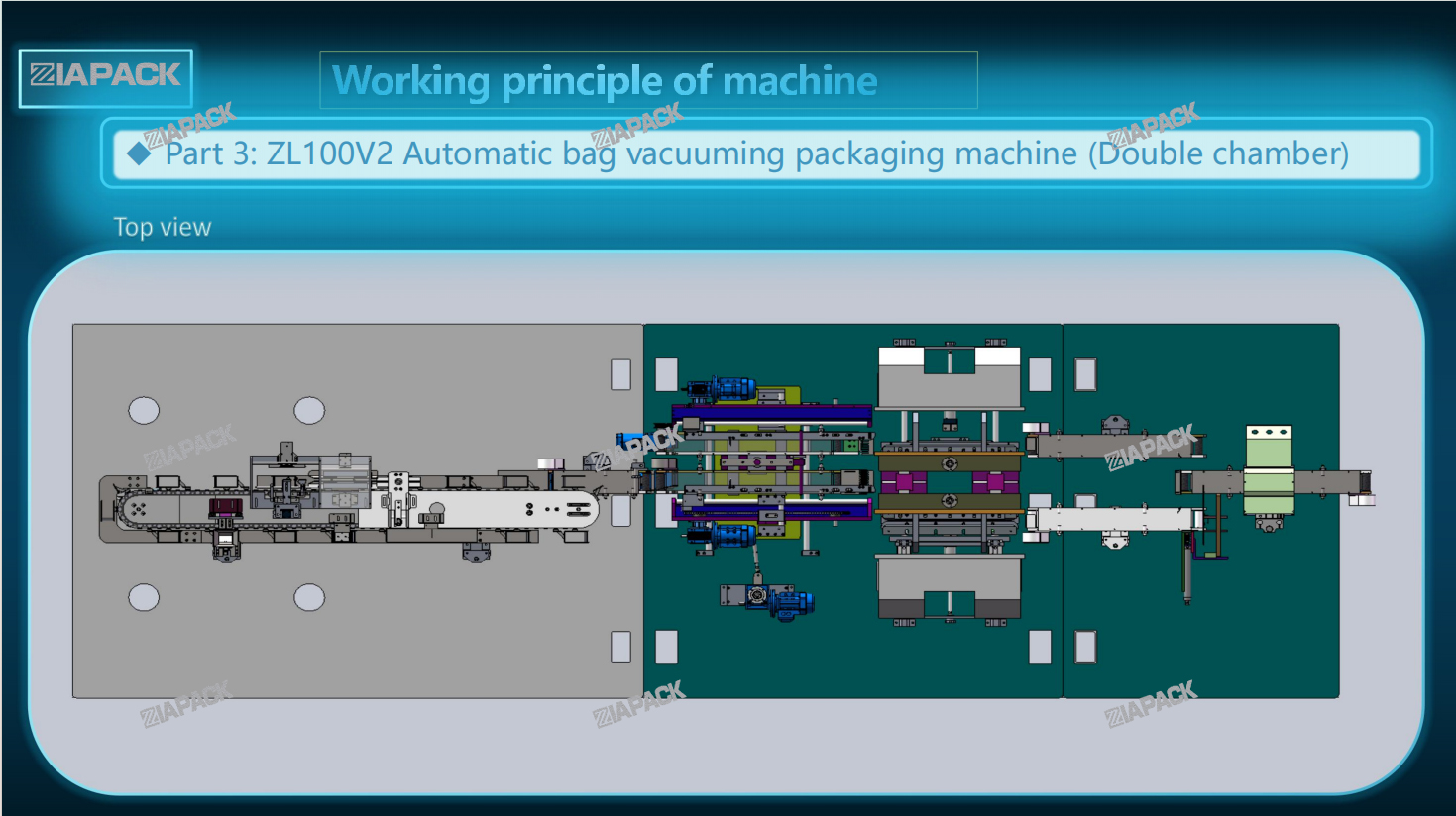Brick vacuum bag packaging machine - IAPACK